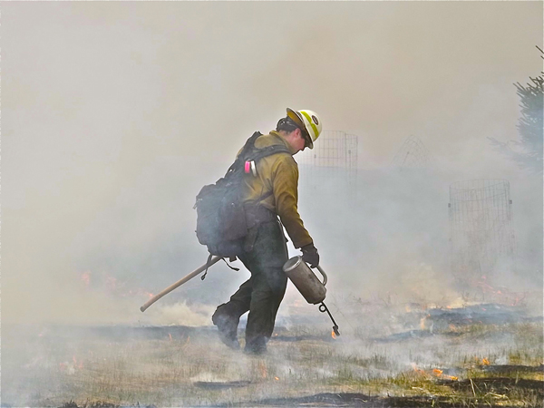 Prescribed burn helps to control invasive reed canary grass at Visitor ...