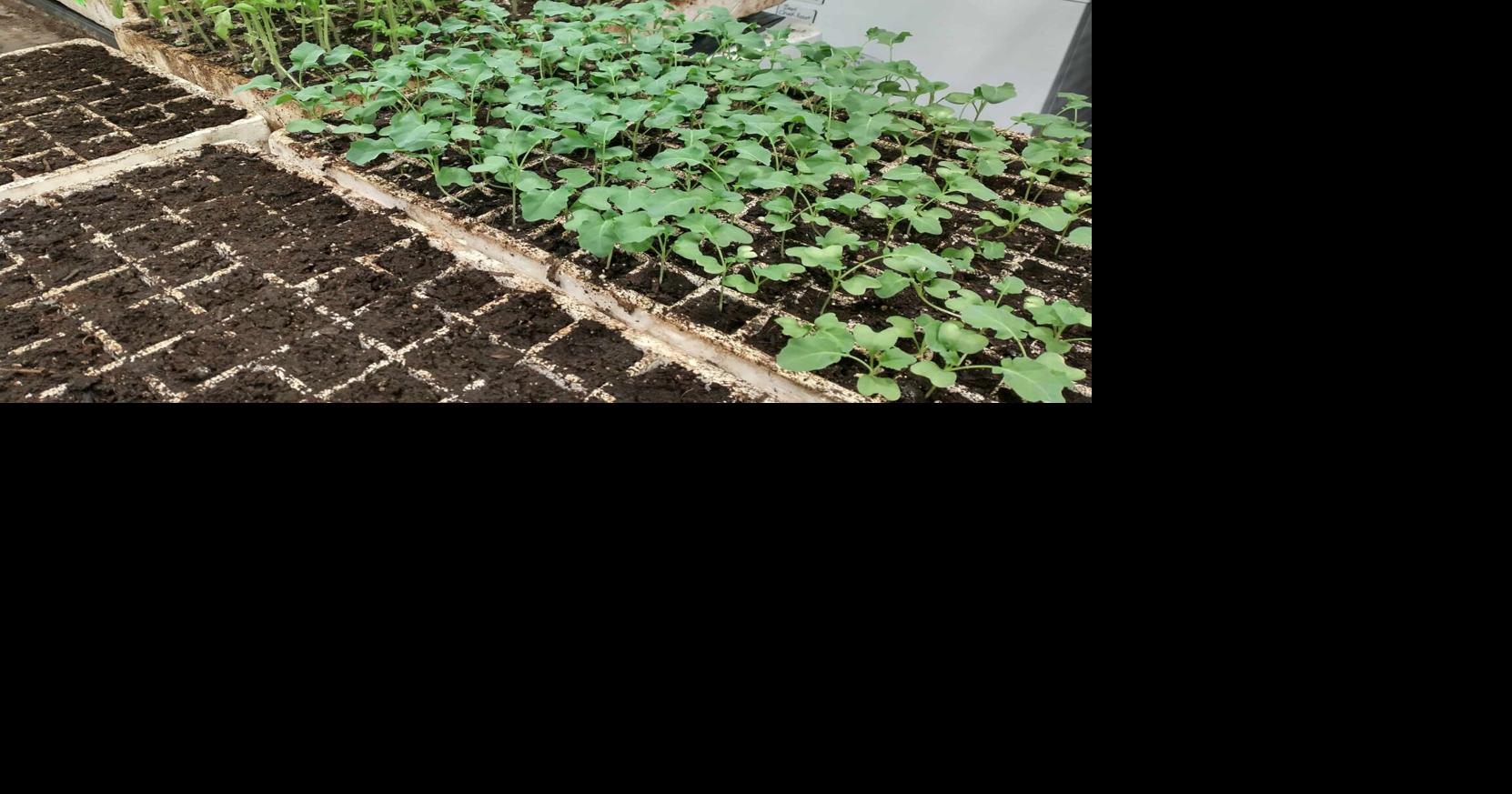 Down on the Farm: Waking up the garden | Outdoors | apg-wi.com