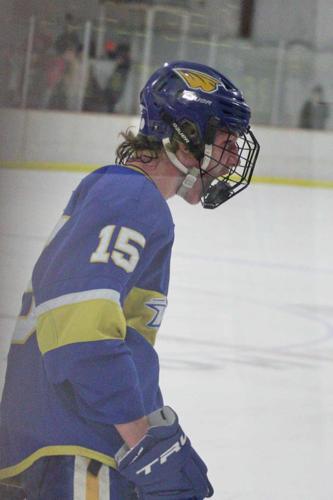 Prep boys hockey: Rice Lake's Carroll, Kunz receive all-conference ...