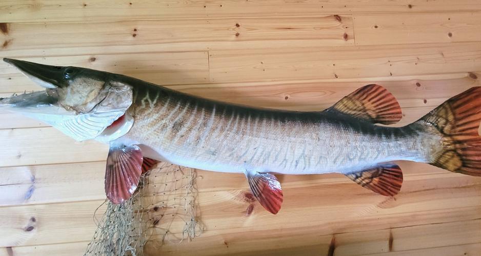 Twin Cities resident remembers the 1994 Musky Fest like it was ...