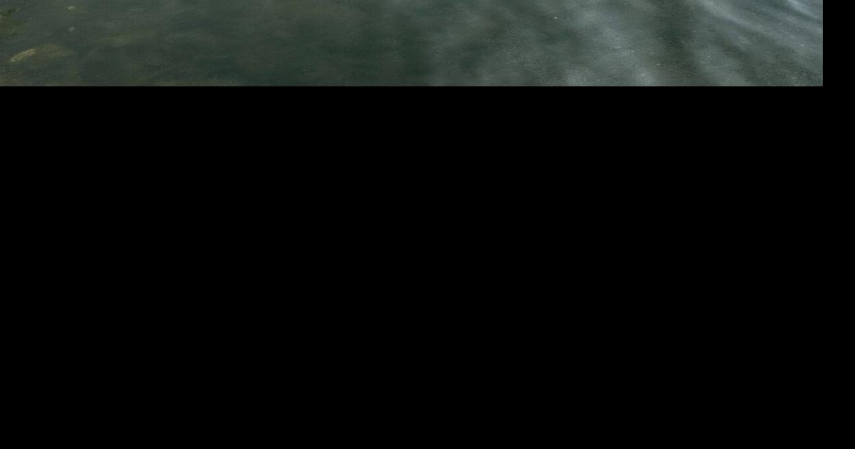 Bluegills in June | Outdoors | apg-wi.com