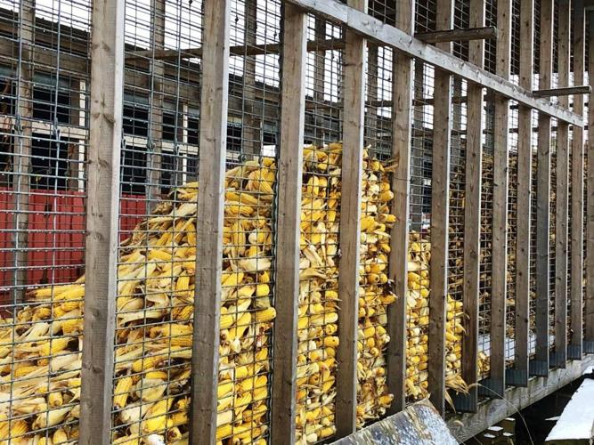 Back Home: Corn cribs a reminder of bygone era | Subscriber | apg-wi.com