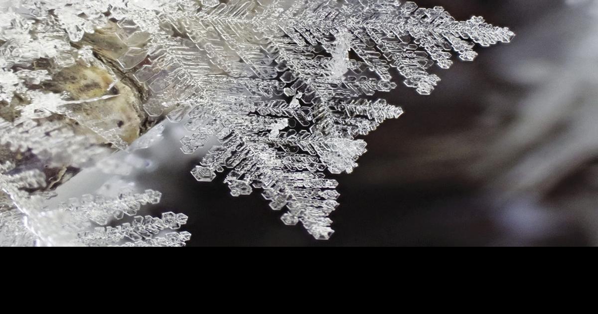 Natural Connections: Rime ice and hoarfrost make the hidden visible ...