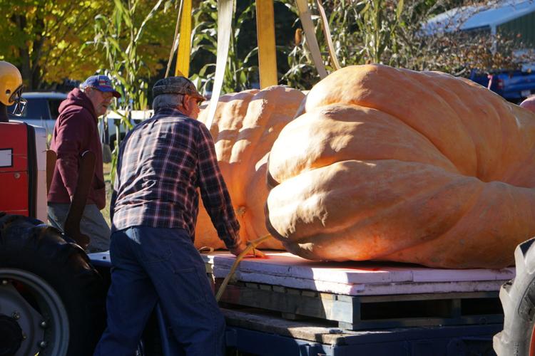 Pumpkin grower reaches 1,400 pounds | Price County Review | apg-wi.com