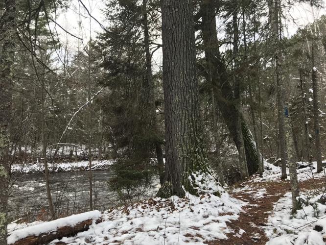 Brule River trail was all mine | Subscriber | apg-wi.com