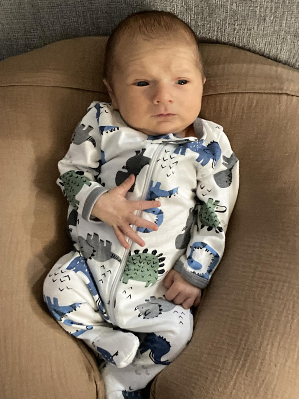 BIRTHS: Maverick Cole Schmidt | Price County Review | apg-wi.com