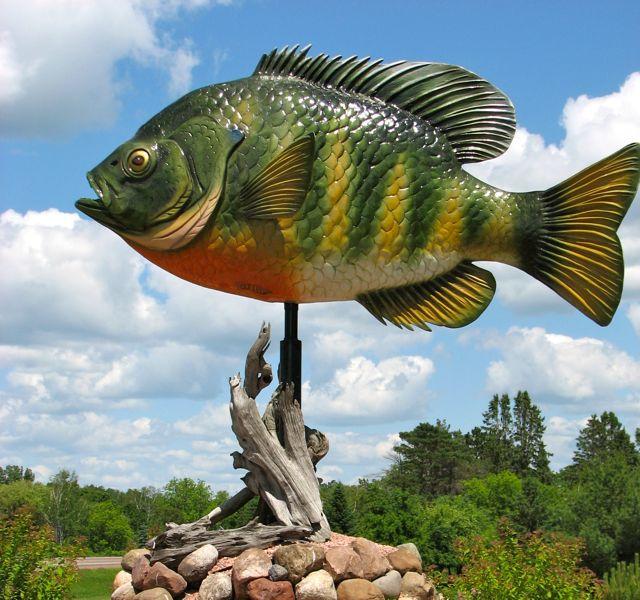 Birchwood Bluegill Fest slated this weekend | Community Events | apg-wi.com