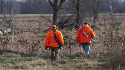 Gun deer hunting season opens Saturday | Outdoors | apg-wi.com