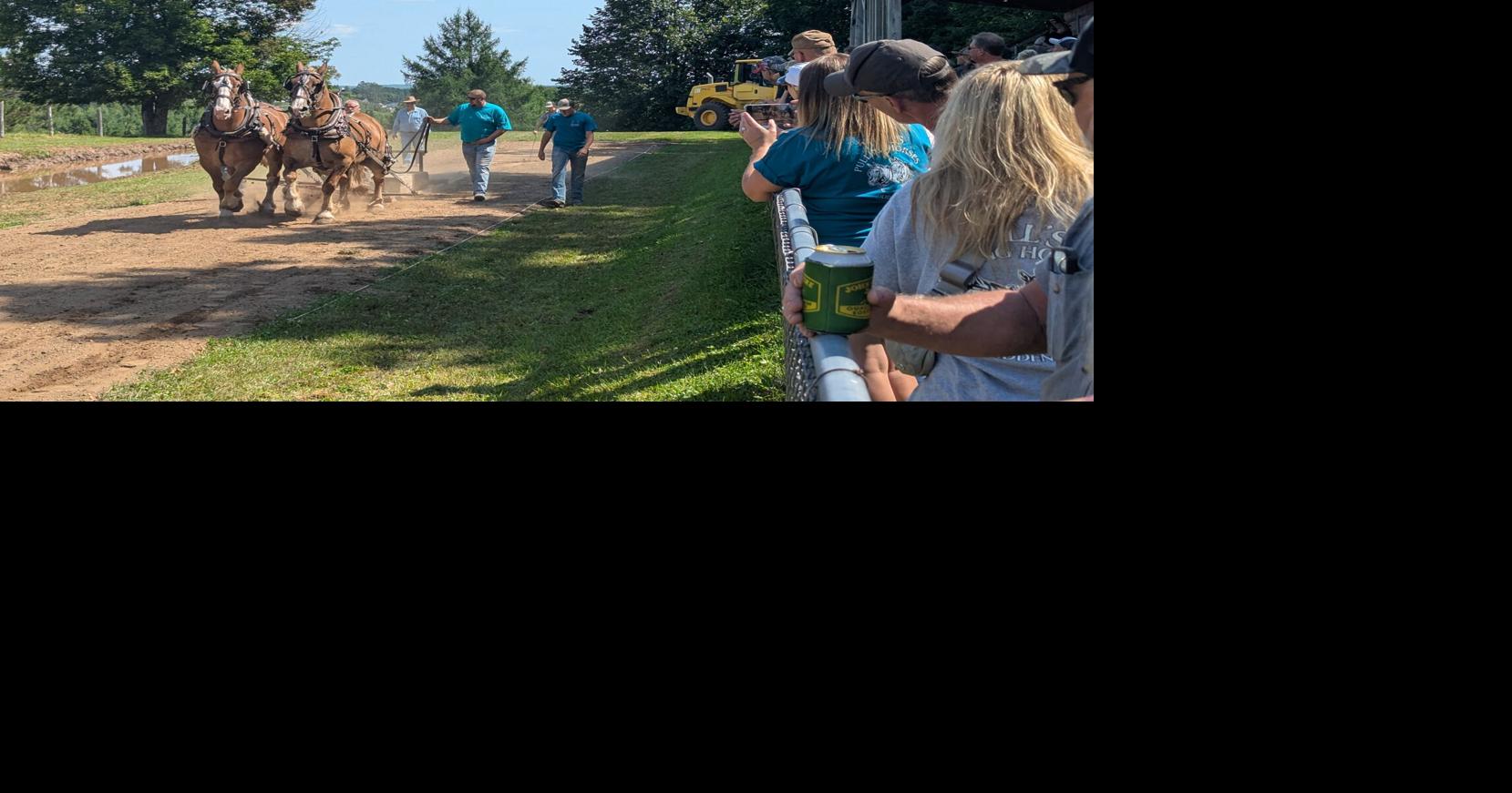 Glidden Community Fair Welcomed Residents and Guests | Local | apg-wi.com