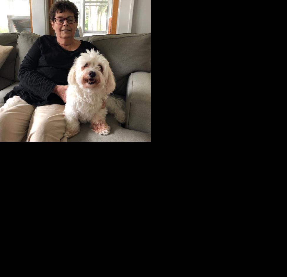 Memorial donation has tails wagging at dog rescue | Rice Lake ...