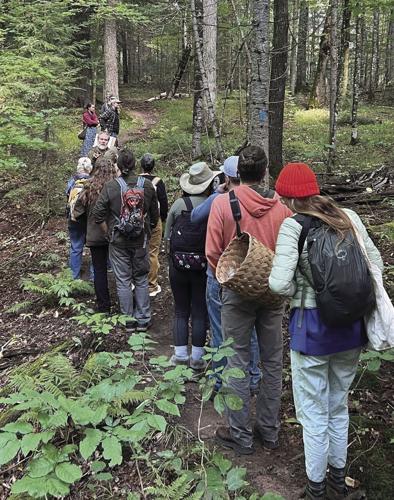 Mushroom enthusiasts find mycophile heaven near Cable | Subscriber ...