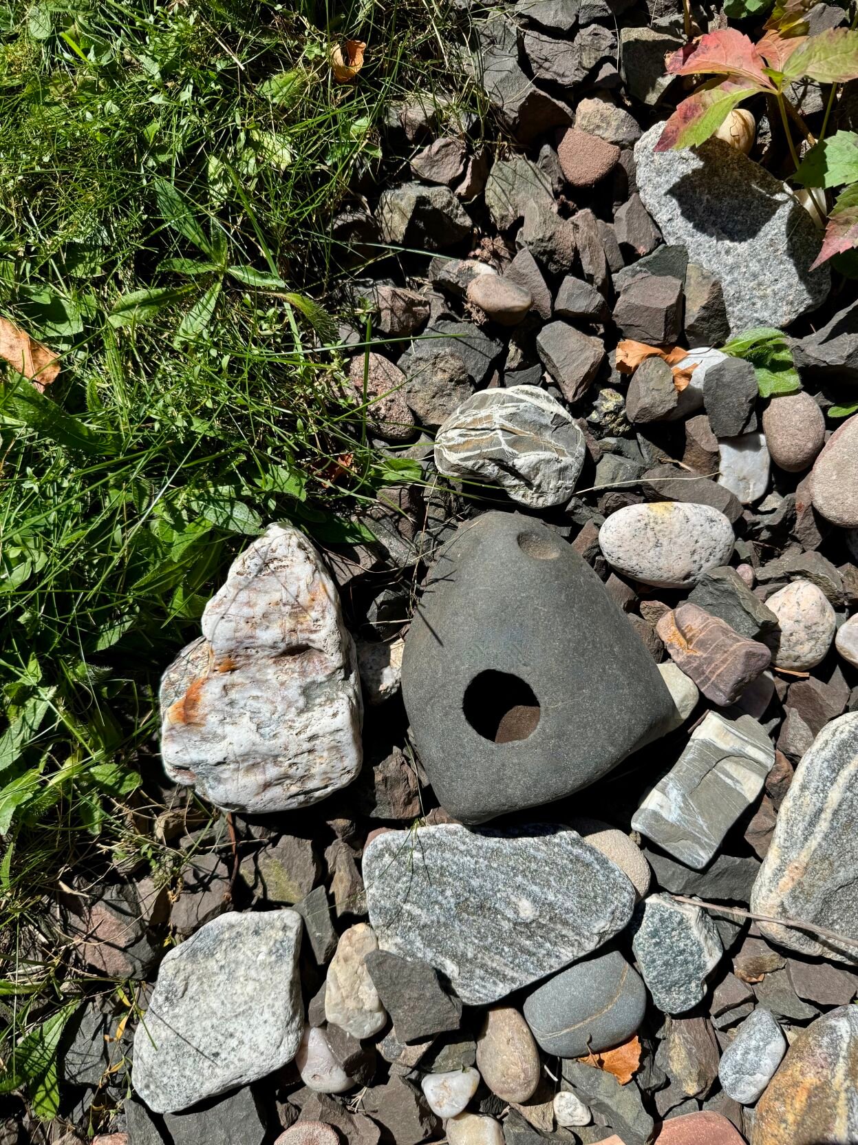 Omar rocks and bottle gentian | Local | apg-wi.com