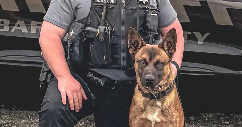 K-9 Creed to join Barron County Sheriff's Department | News | apg-wi.com