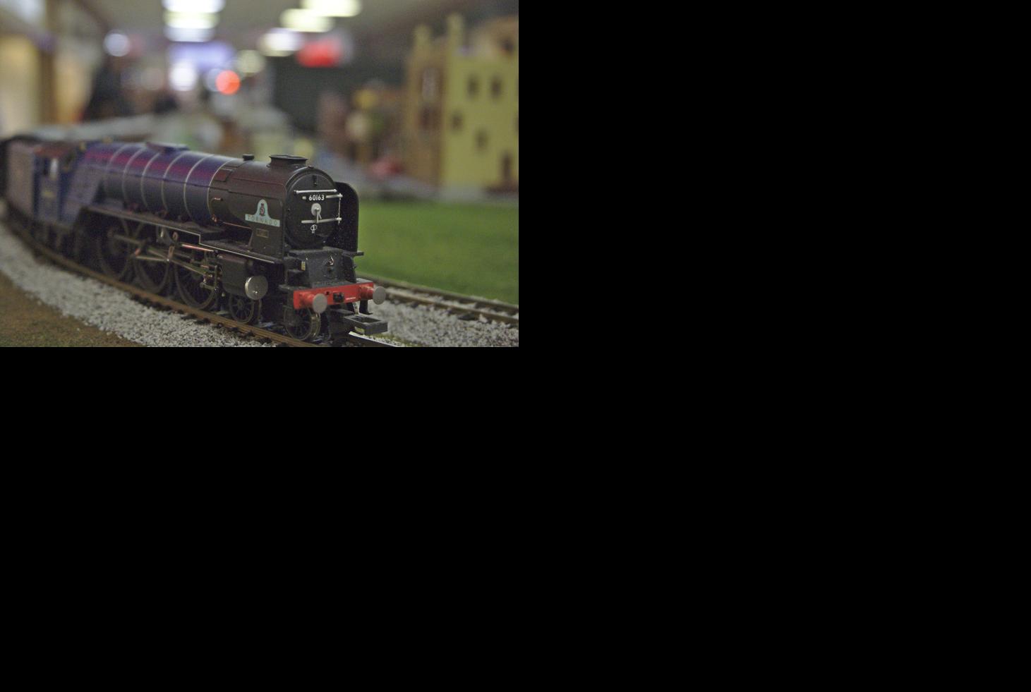 Barron County Model Railroad Show passes by | Free | apg-wi.com