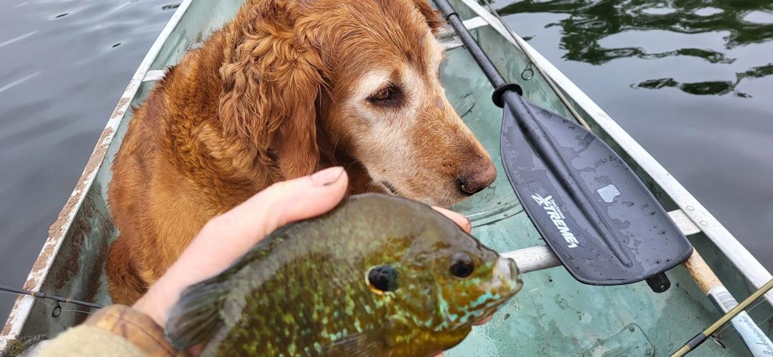 New country in Washburn County | Columnists | apg-wi.com