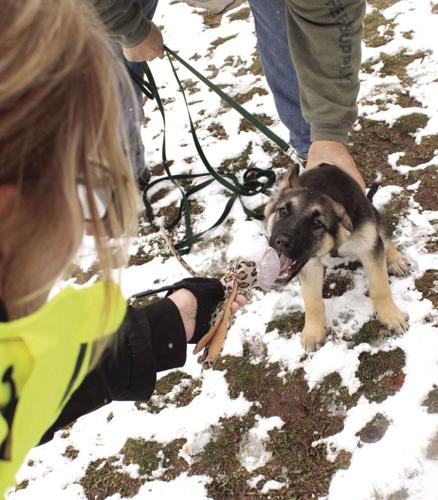 SCSR dogs, handlers are put on the scent track by Texas trainer ...