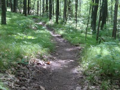 CAMBA trails to open soon | Outdoors | apg-wi.com