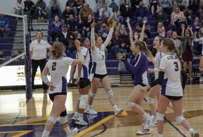 AHS volleyball set to serve notice | High School | apg-wi.com