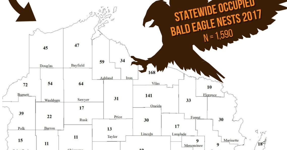 Bald eagle nests increase 5.7 percent in 2017 to hit another record ...
