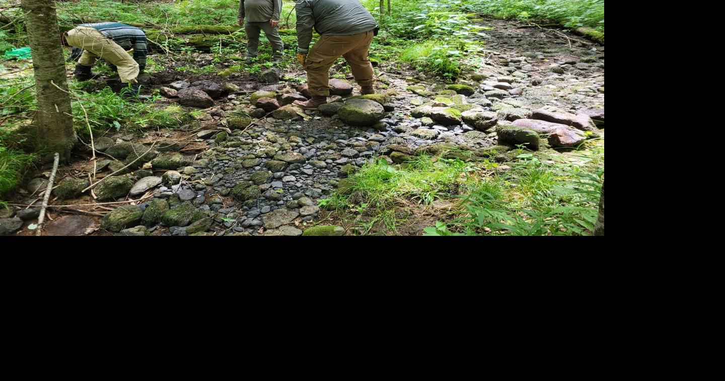 Making trail in Taylor County | Outdoors | apg-wi.com
