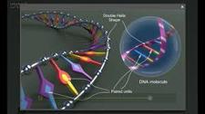 DNA from bones leads to identifying homicide victim | Free | apg-wi.com