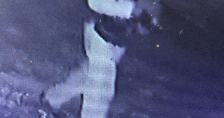 Person with an assault rifle, body armor, steals truck | Free | apg-wi.com