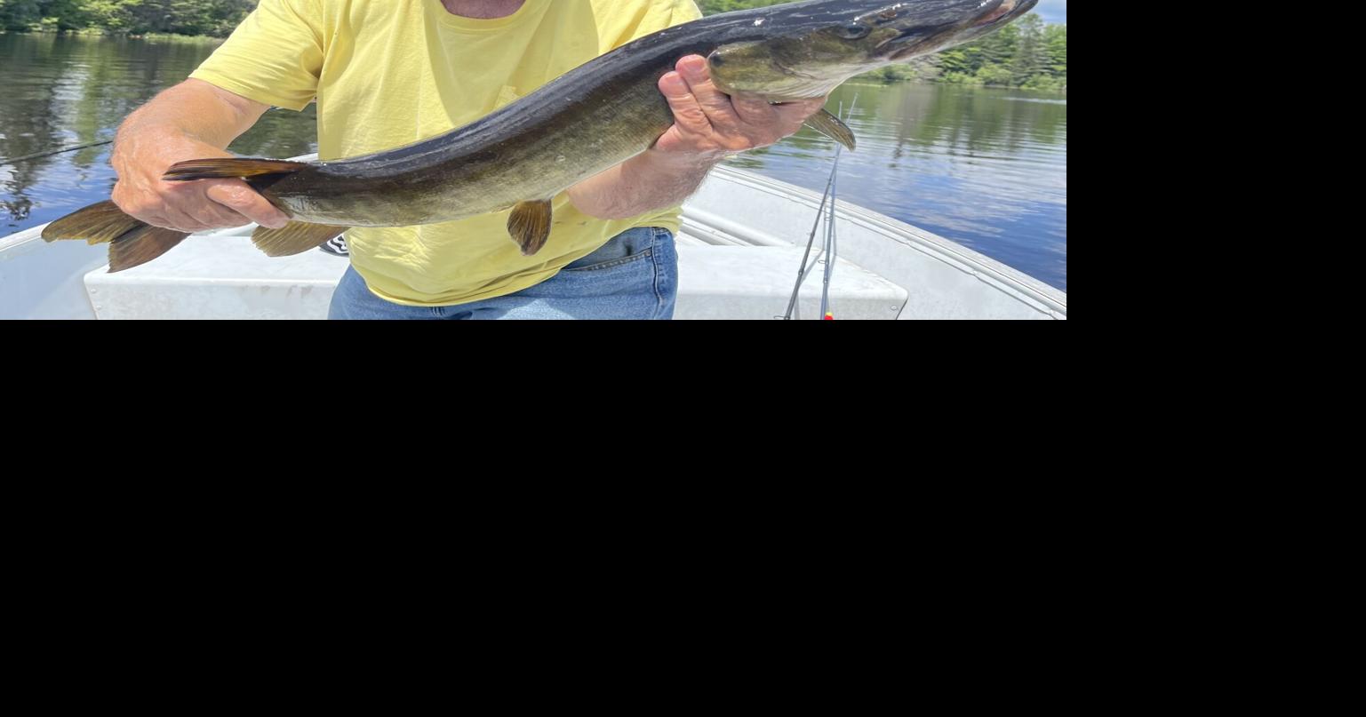 David Hulbert | Subscriber | apg-wi.com