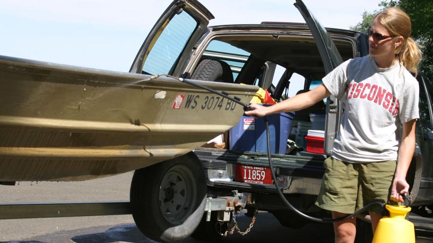 Fight against zebra mussels continuing with decontamination efforts ...