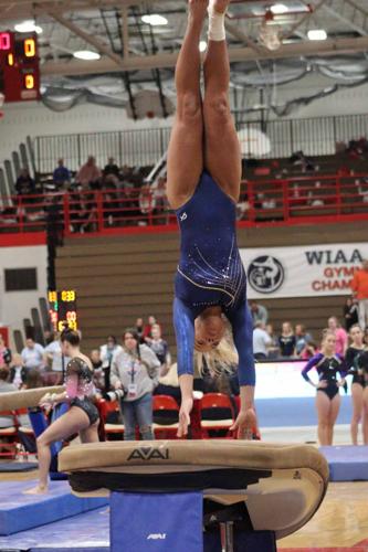 Gymnastics: Rice Lake's Ash sets beam record, repeats on vault to win ...