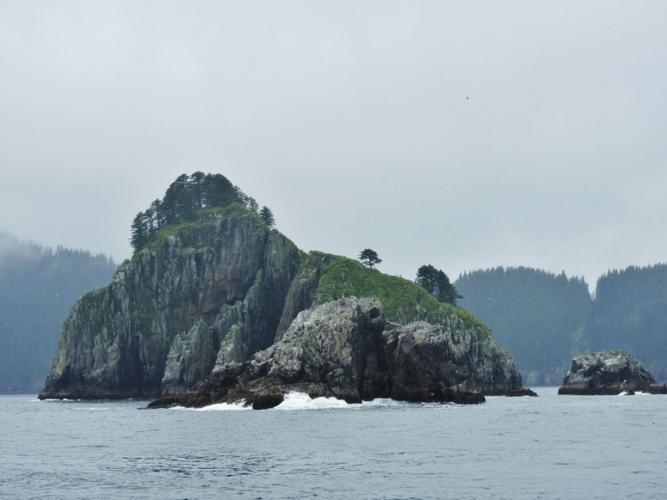 Natural Connections: A puffin paradise | Free | apg-wi.com