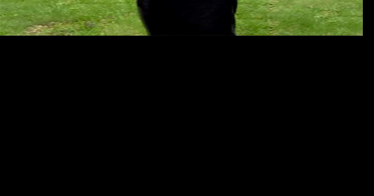 Harold Walter Herbst Jr. | Subscriber | apg-wi.com