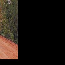 Wild Rivers Trail gets rosy look in Rice Lake | Outdoors | apg-wi.com
