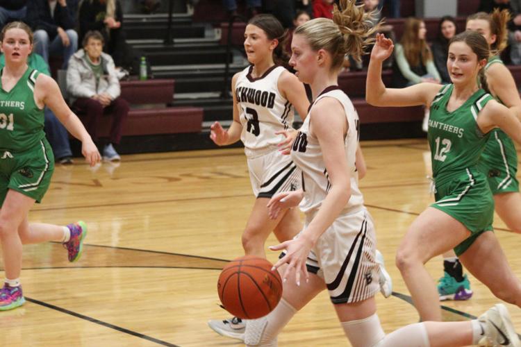 Girls basketball: Birchwood's Lobitz named to East Lakeland All ...