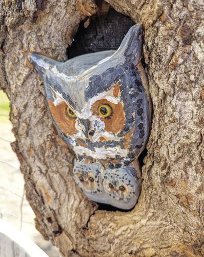 2024 Cable Fall Fest | Free | apg-wi.com