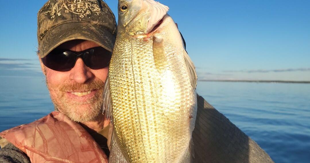 An Outdoorsman’s Journal: Fishing striper with dreams of elk | Price ...