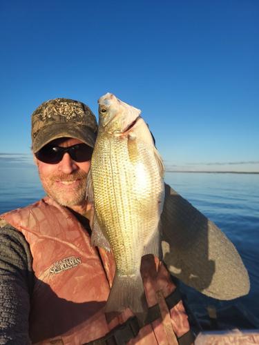 An Outdoorsman’s Journal: Fishing striper with dreams of elk | Price ...