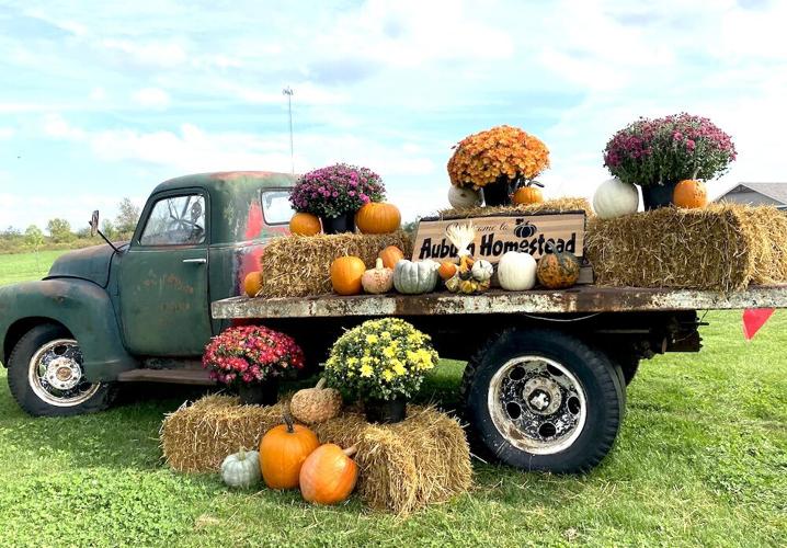 Auburn Homestead offers fall family fun | News | apg-wi.com