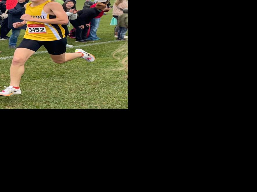 Boys harriers third at sectional; Sheehan advances to state | Sawyer ...