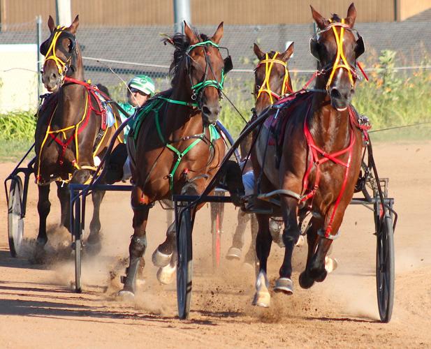 Horse racing: Double winners highlight 2 nights of harness racing ...