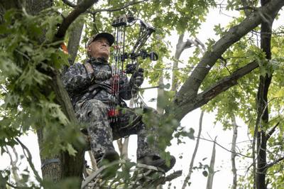 Archery, crossbow seasons now open | Outdoors | apg-wi.com