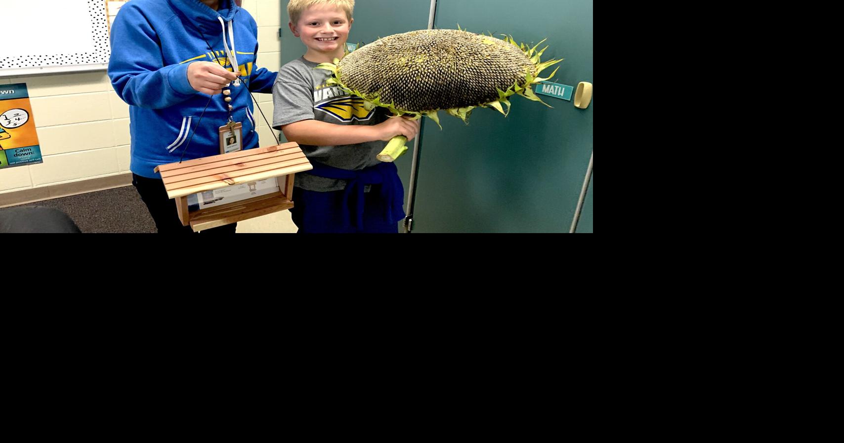 Local third-grader's sunflower breaks record in growing contest | News ...