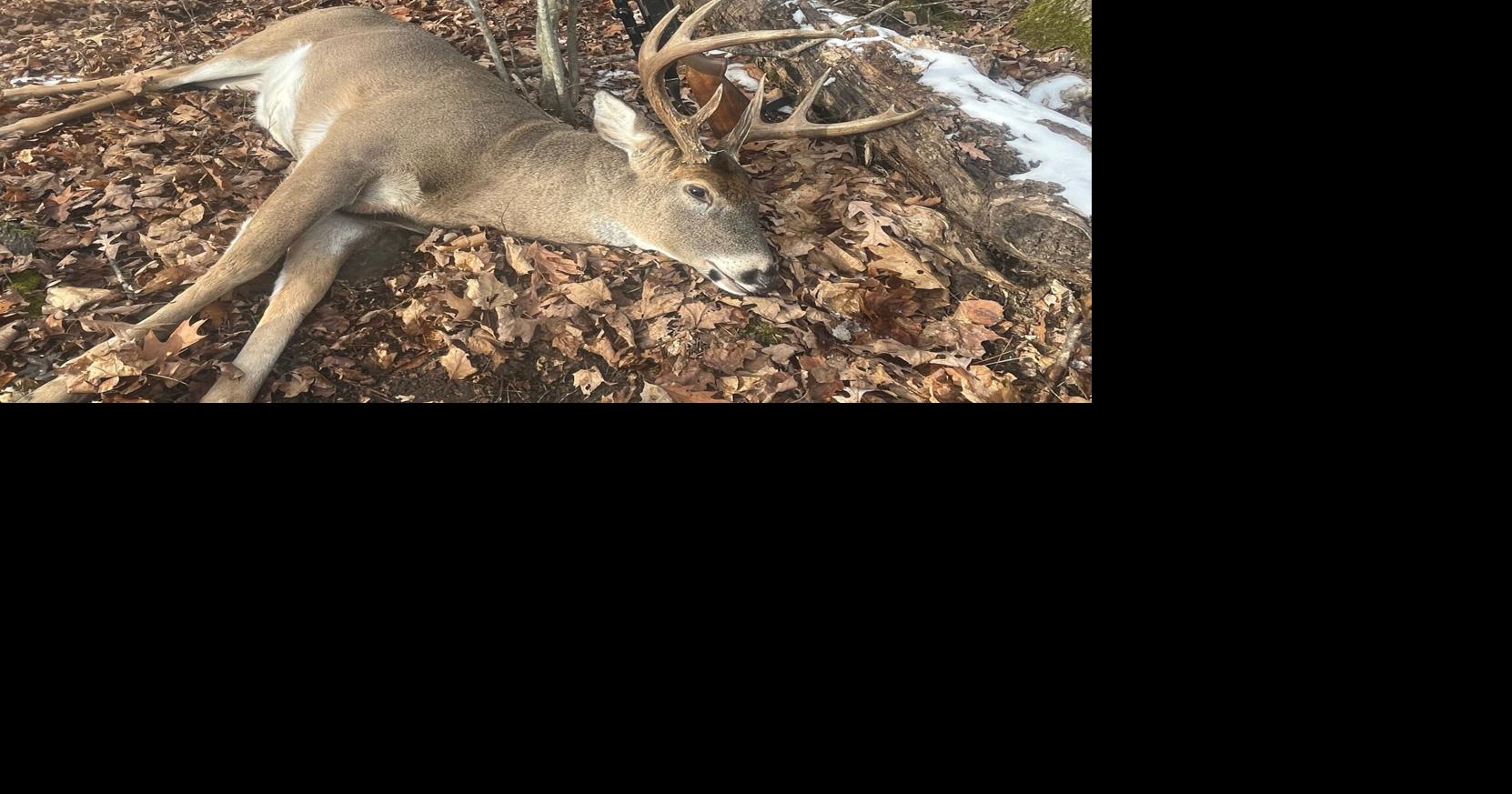 Deer hunt numbers down | Outdoors | apg-wi.com