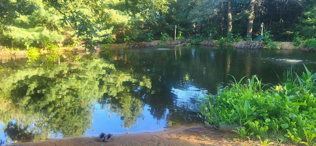 An Outdoorsman’s Journal: 2024 was a year on the run! | Price County ...