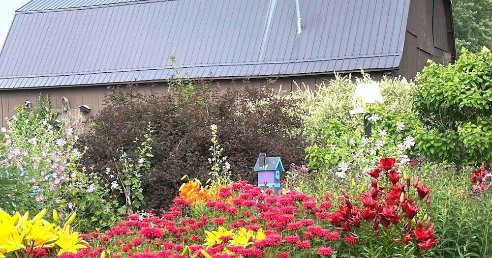See daylilies galore, sculptures, whimsical birdhouses and more at ...