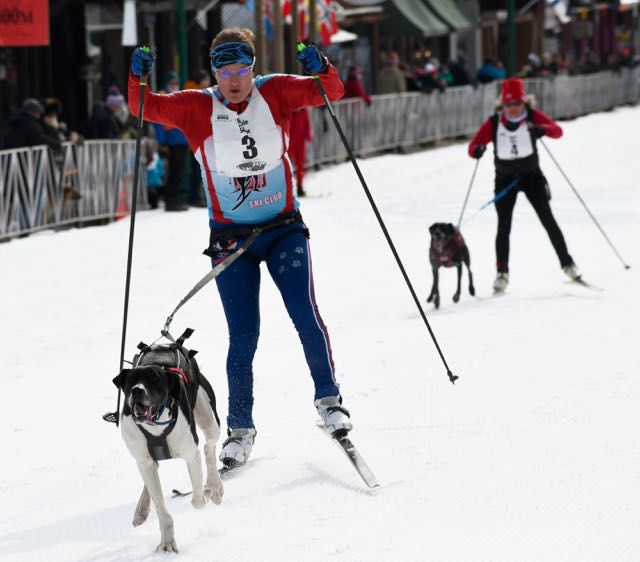 Barkie Birkie 2018 | Free | apg-wi.com