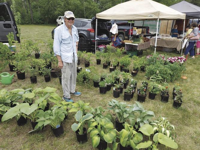 Hayward Farmers Market opens at Lumberjack Bowl | Subscriber | apg-wi.com
