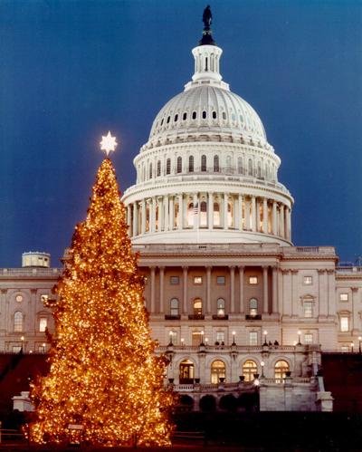 Focus on nature: Wisconsin Christmas trees | Free | apg-wi.com