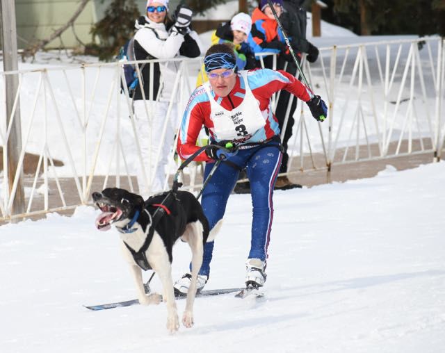 Barkie Birkie 2018 | Free | apg-wi.com