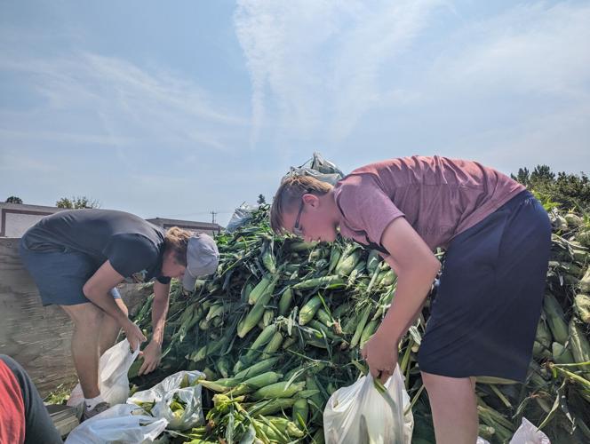 The corn man cometh | Local | apg-wi.com