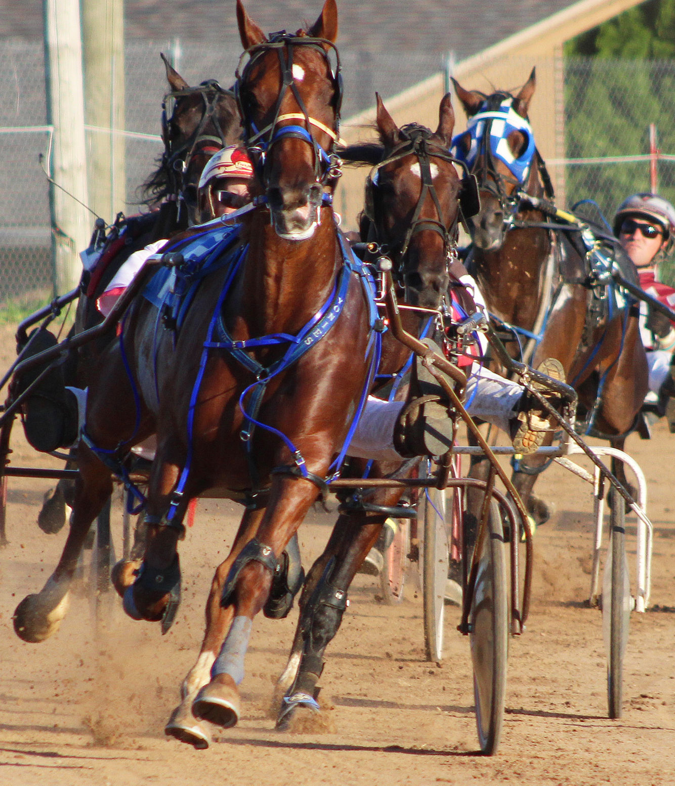 2016 Barron County Fair | Rice Lake Chronotype | apg-wi.com